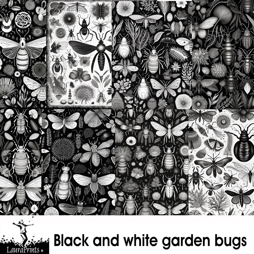 Garden Bugs Digital Black and White Papers Digital Download - Etsy