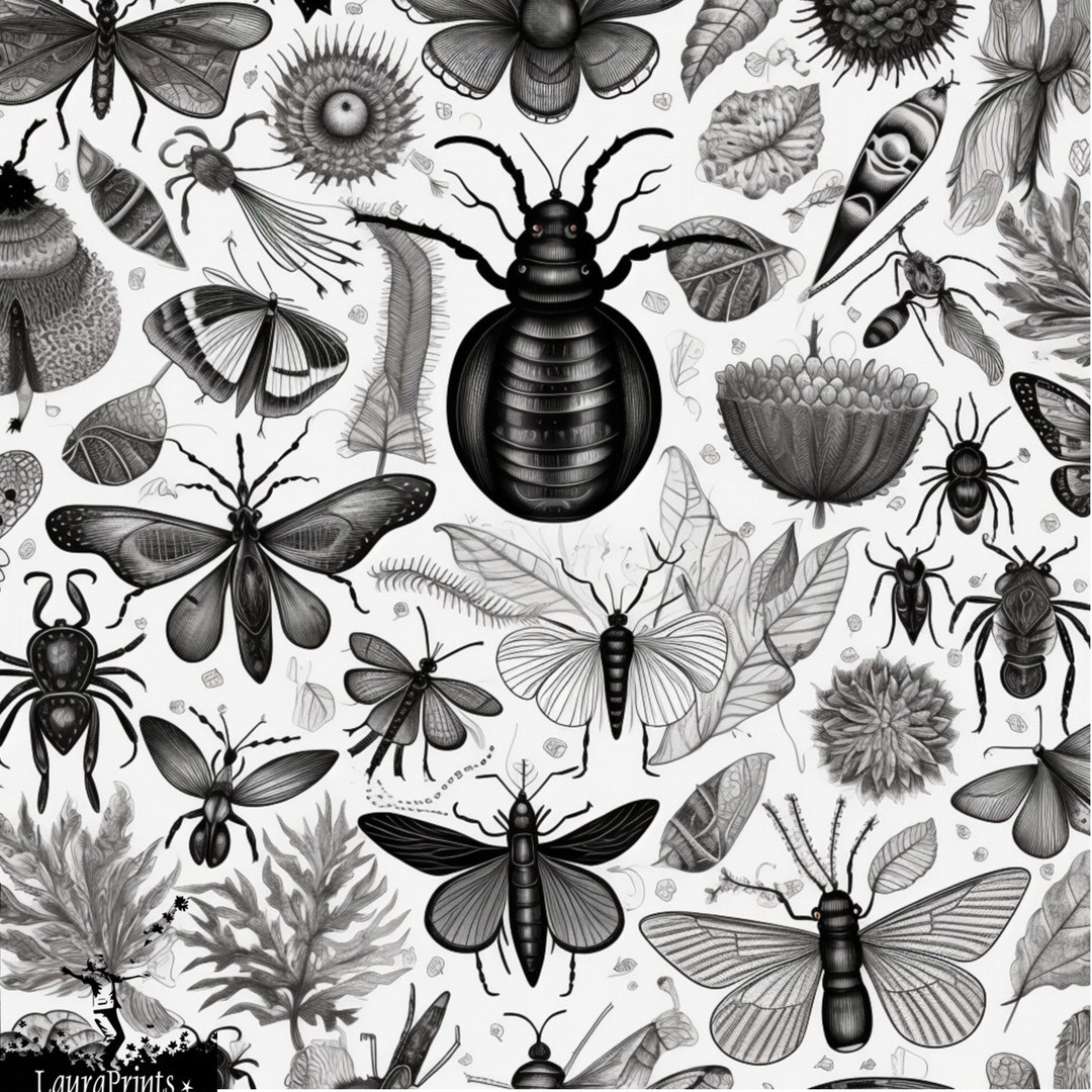 Garden Bugs Digital Black and White Papers, Digital Download - Etsy