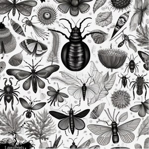Garden Bugs Digital Black and White Papers, Digital Download - Etsy