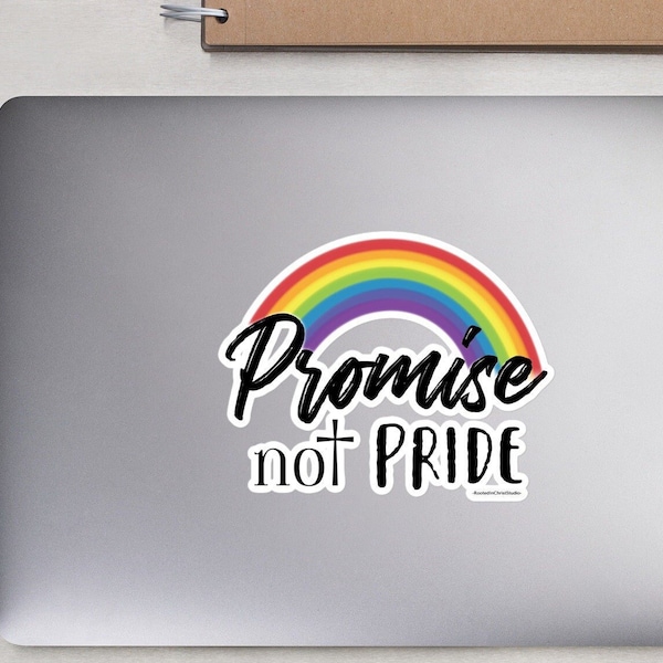 Promise Not Pride Flag - Etsy