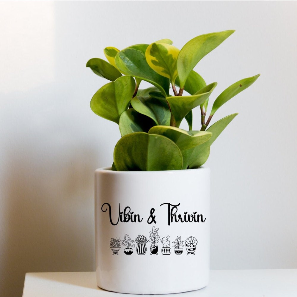 INSTANT DOWNLOAD, Plant Svg, Vibin Svg, Plant Lover Svg, House Plant ...