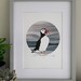Puffin Print - Etsy