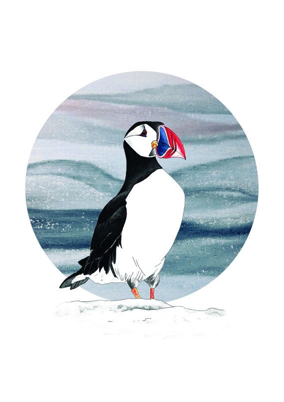 Puffin Print - Etsy