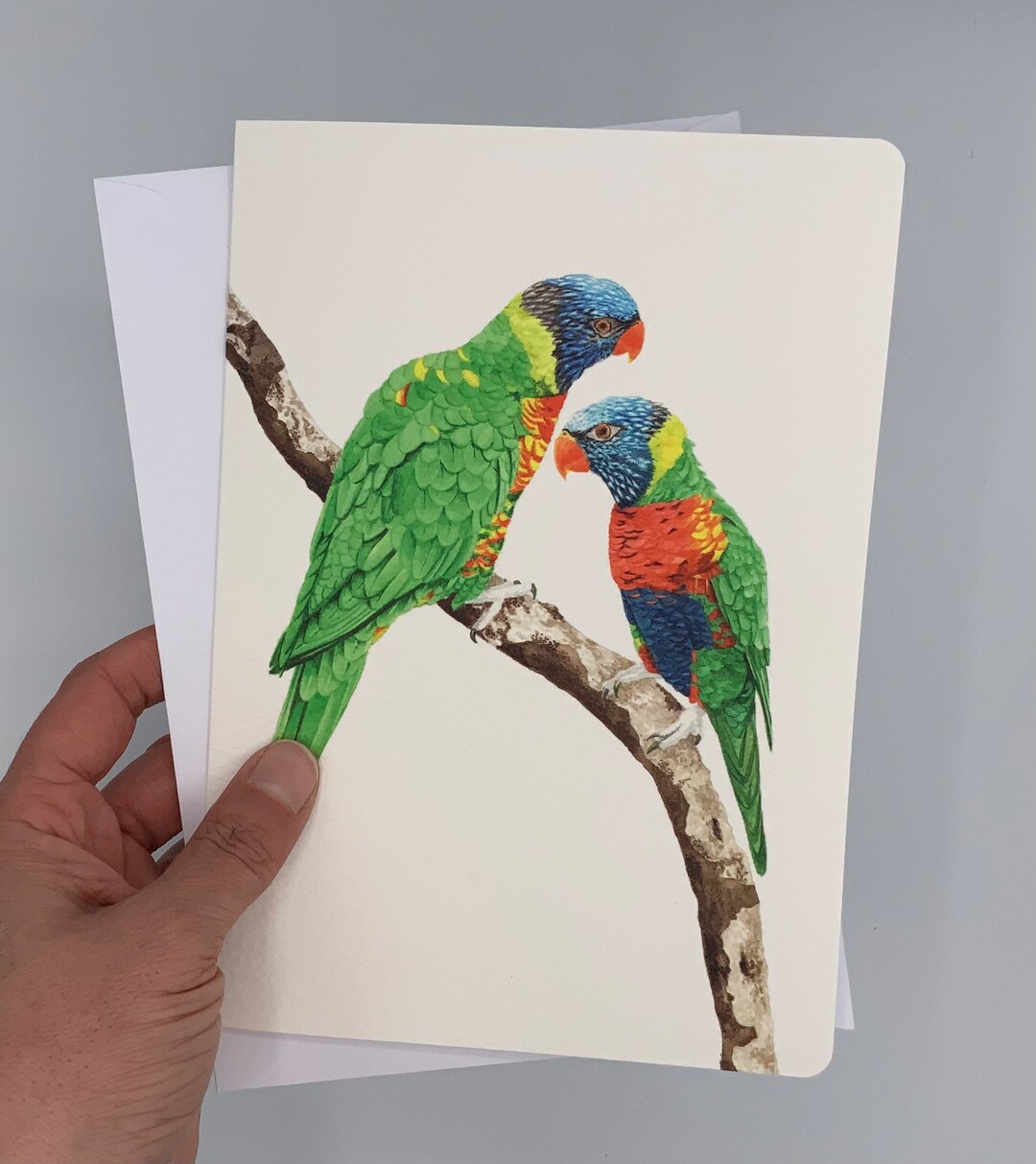 Rainbow Parakeets Greetings Card - Etsy