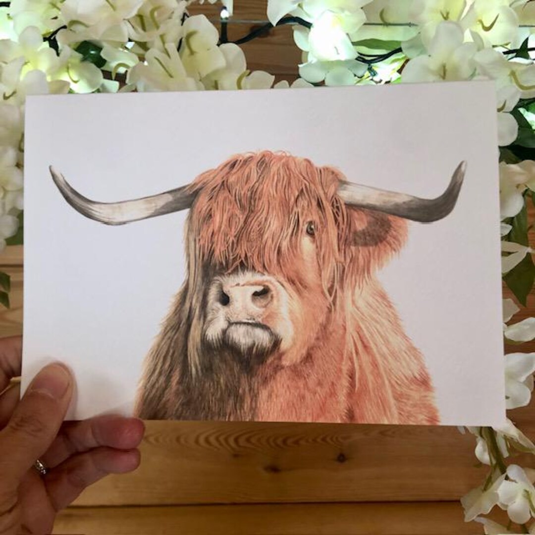 Highland Cow Greeting Card - Etsy