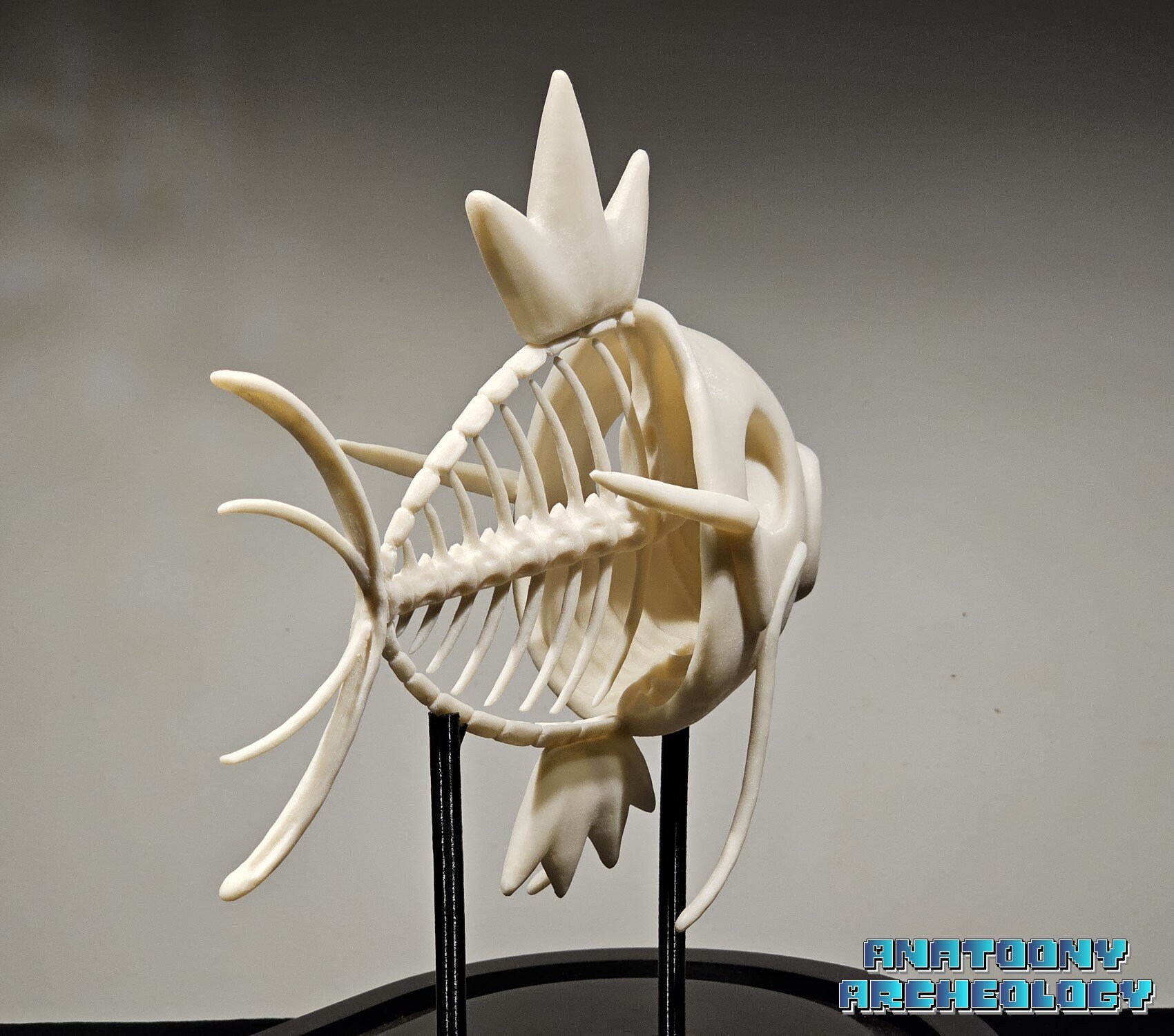 Anime Skeleton Bell Jar Glass Display 129 Museum Piece - Etsy Australia