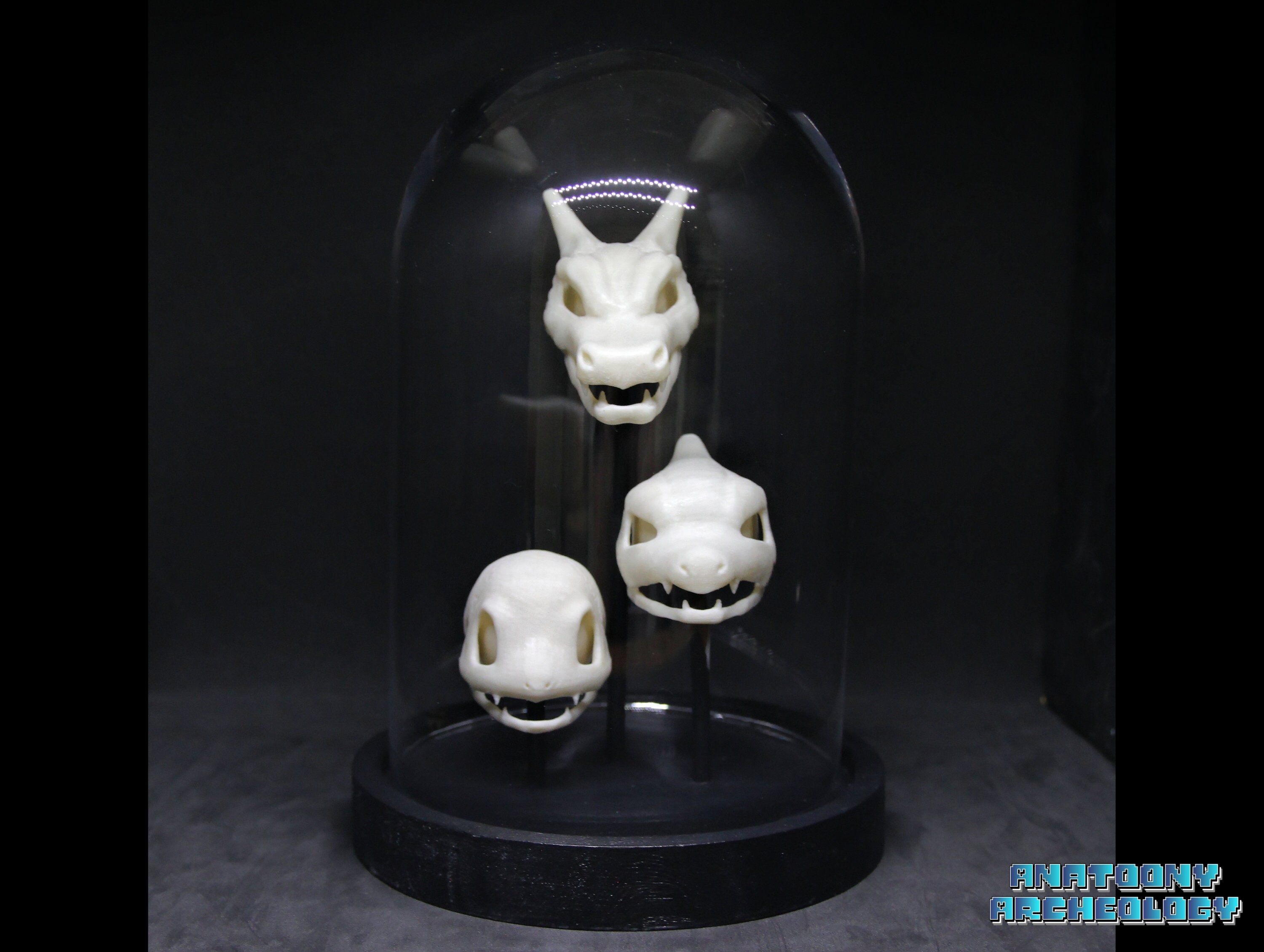 Anime Skull Evolution Museum Piece Bell Jar Display 004 005 006 - Etsy