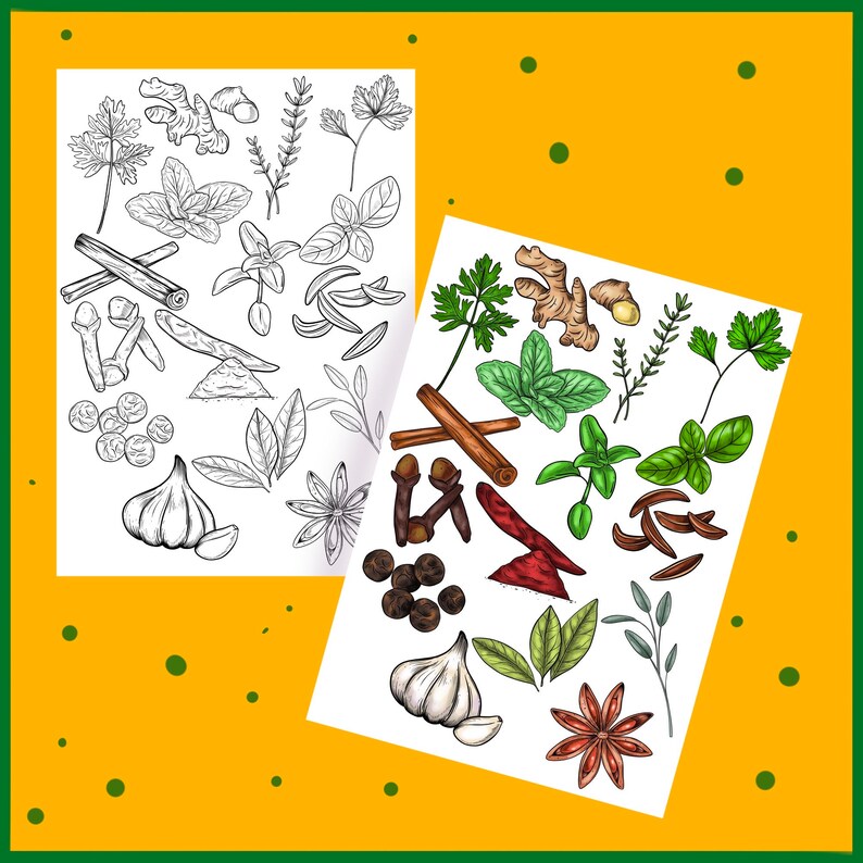 Hebs and Spices Elements Clipart Set. Digitally Drawn, Line Art and ...