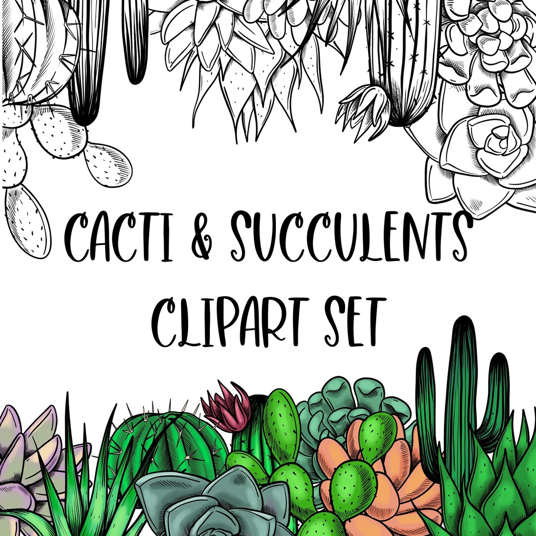 Cacti and Succulents Clipart Set. Digital Download. Colored and Black ...