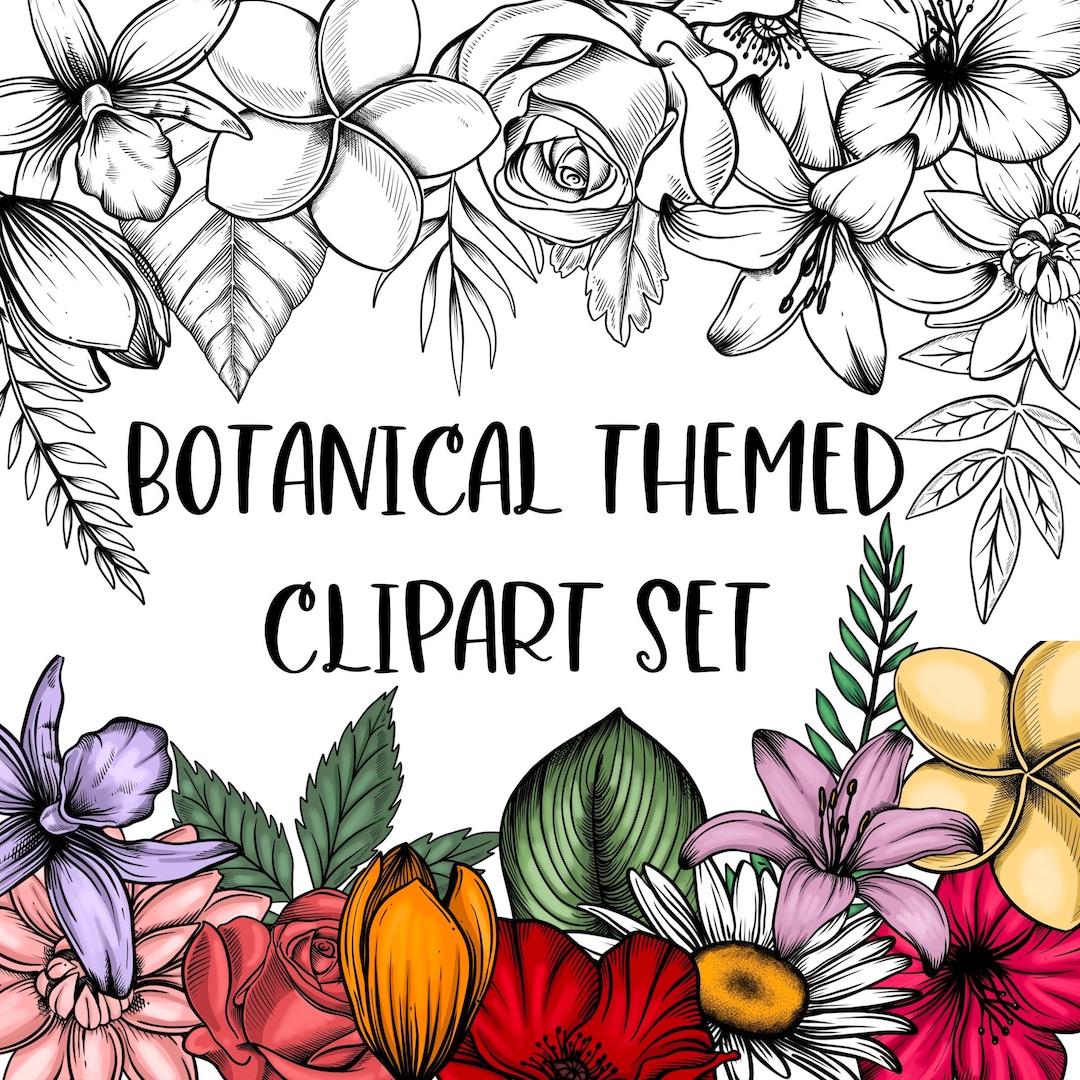 Botanical Themed Clipart. Drawn Digitally in Black and White and ...