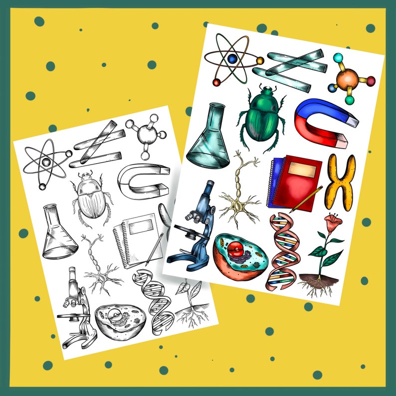 Science Elements Clipart. Digital Download. Colored and Black and White ...