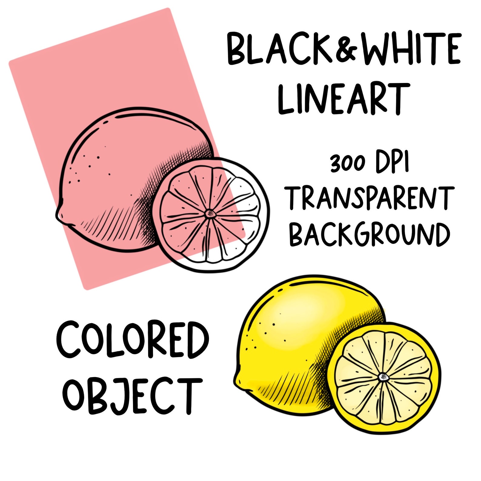 Fruits and Vegetables Clip Art Set. Black and White Lineart AND Colored ...