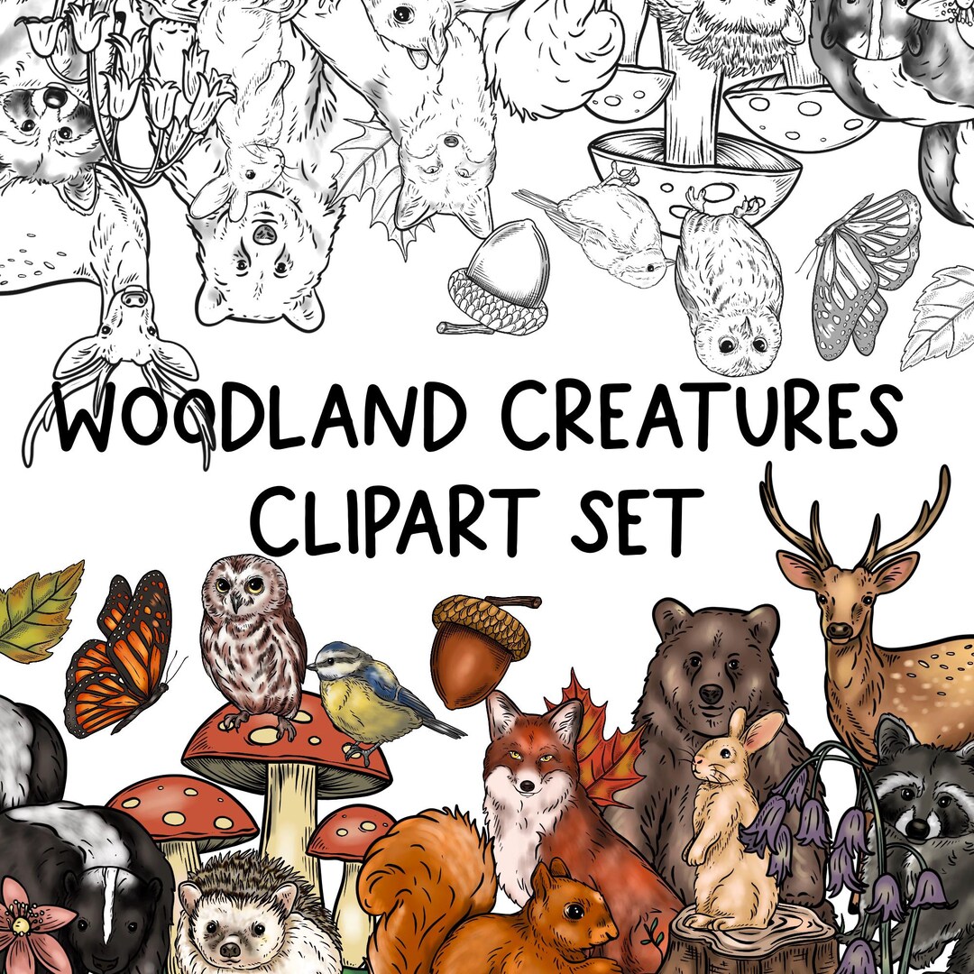 Woodland Creatures Clip Art Set. Black and White Lineart AND Colored ...