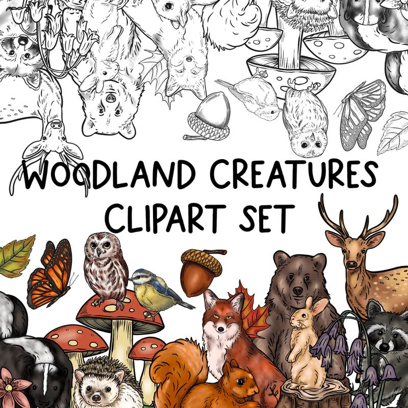 Woodland Clip Art - Etsy