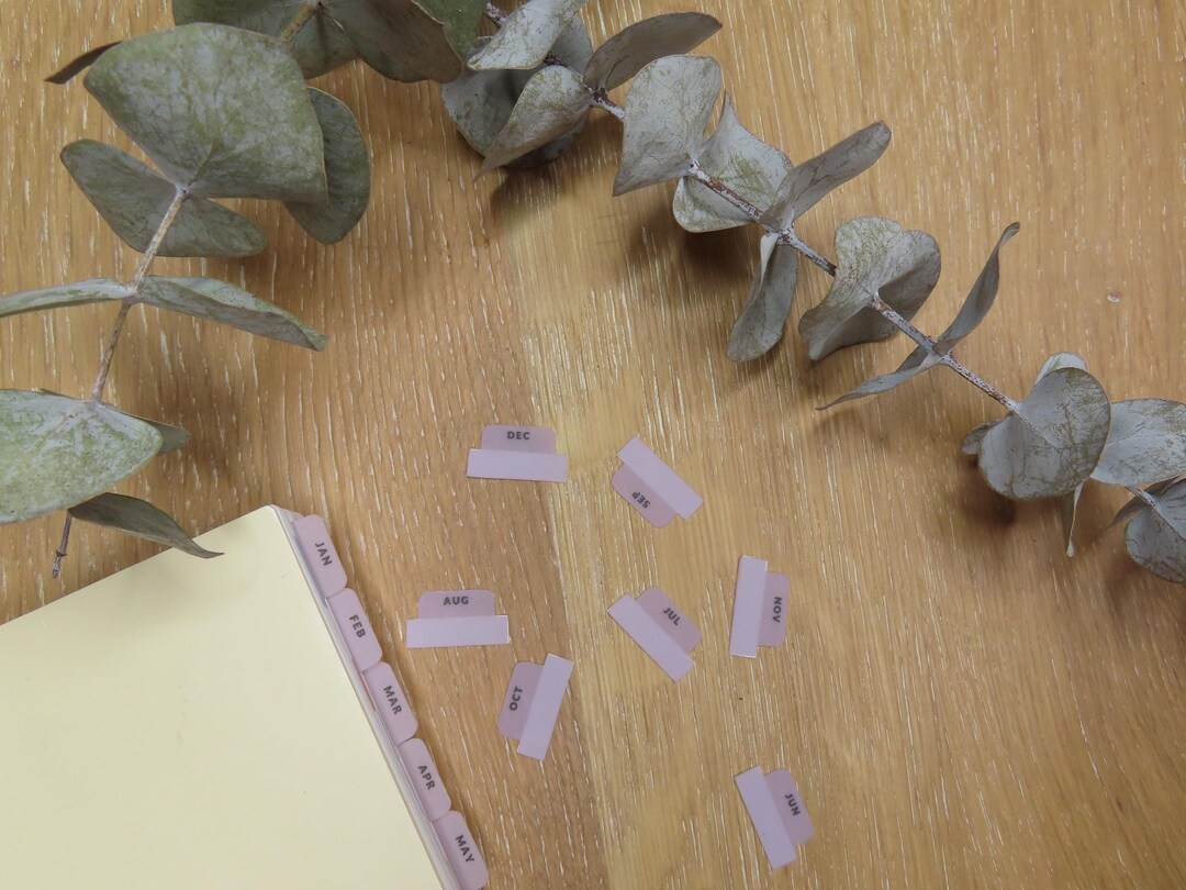 MICRO MONTH TAB Stickers | Frosted Vellum | Divider Tab Labels | Clear ...