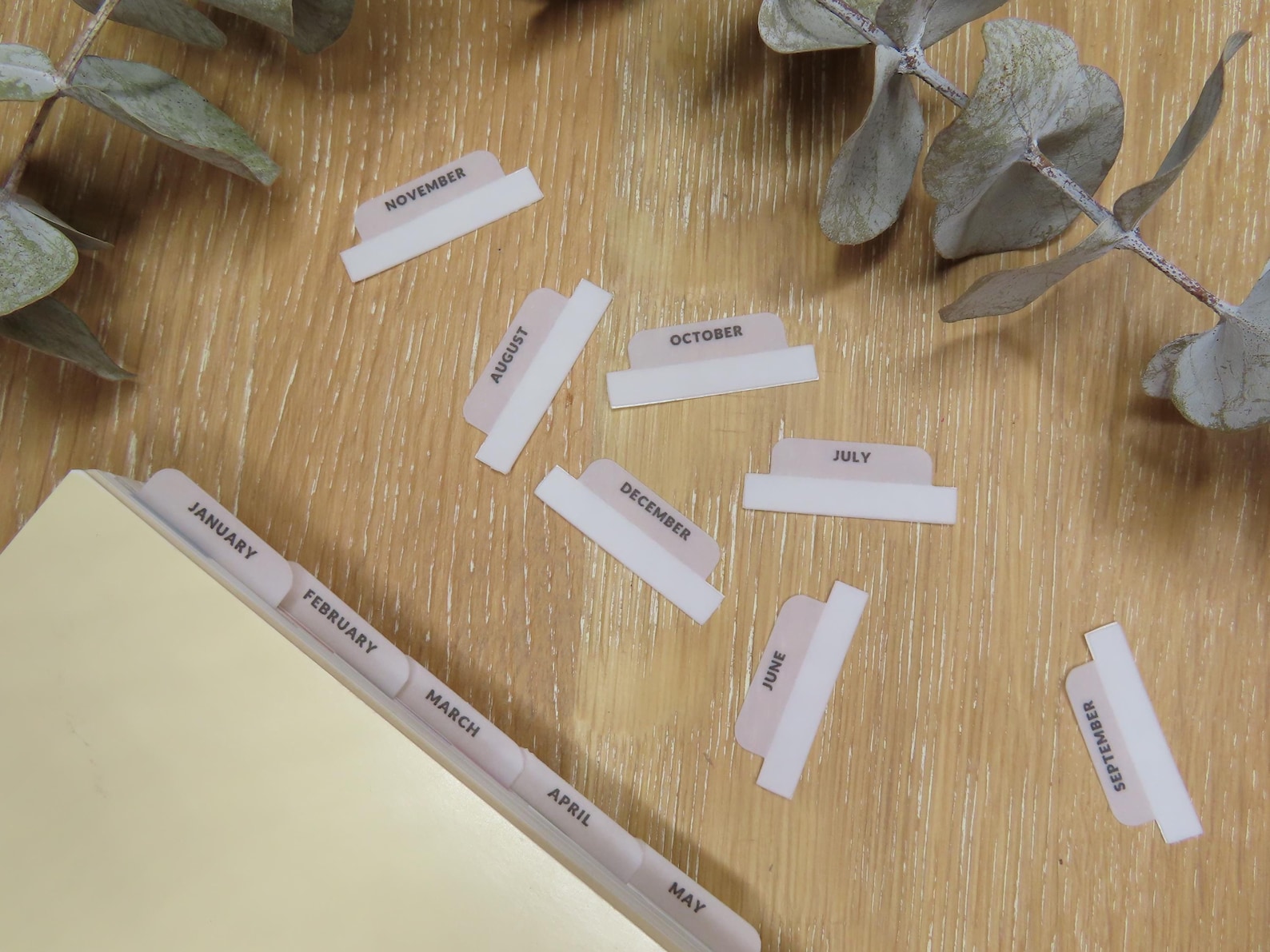 MINI MONTH TAB Stickers | Frosted Vellum | Divider Tab Labels | Clear ...