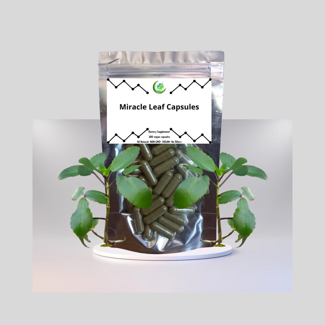 Organic Miracle Leaf Extract 10:1 500mg Capsules - Etsy