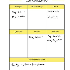 Spoonie Daily Diary | Chronic Pain Planner | PDF Planner | Goodnotes ...