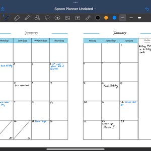Spoonie Daily Diary | Chronic Pain Planner | PDF Planner | Goodnotes ...
