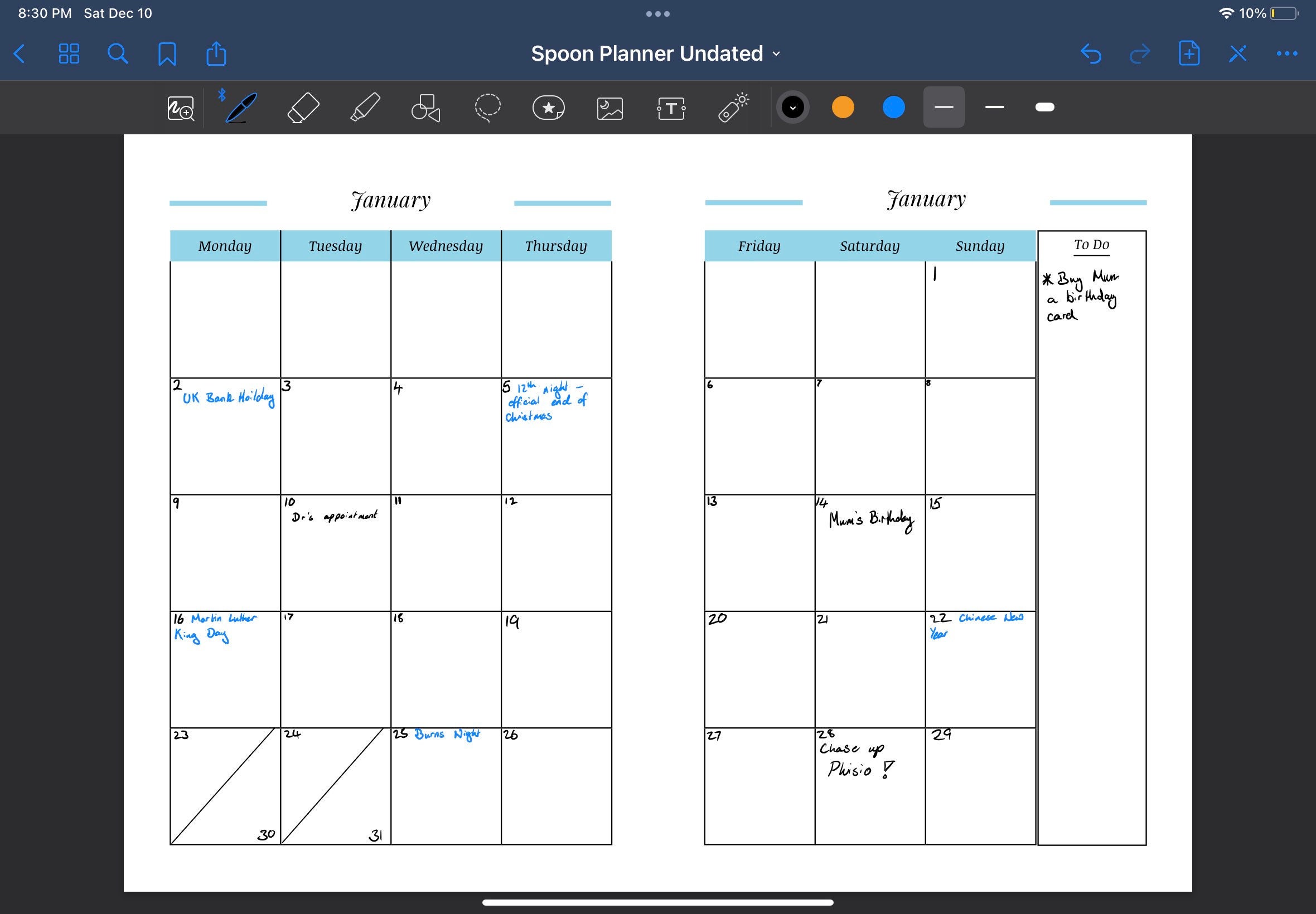 Spoonie Daily Diary Chronic Pain Planner PDF Planner - Etsy