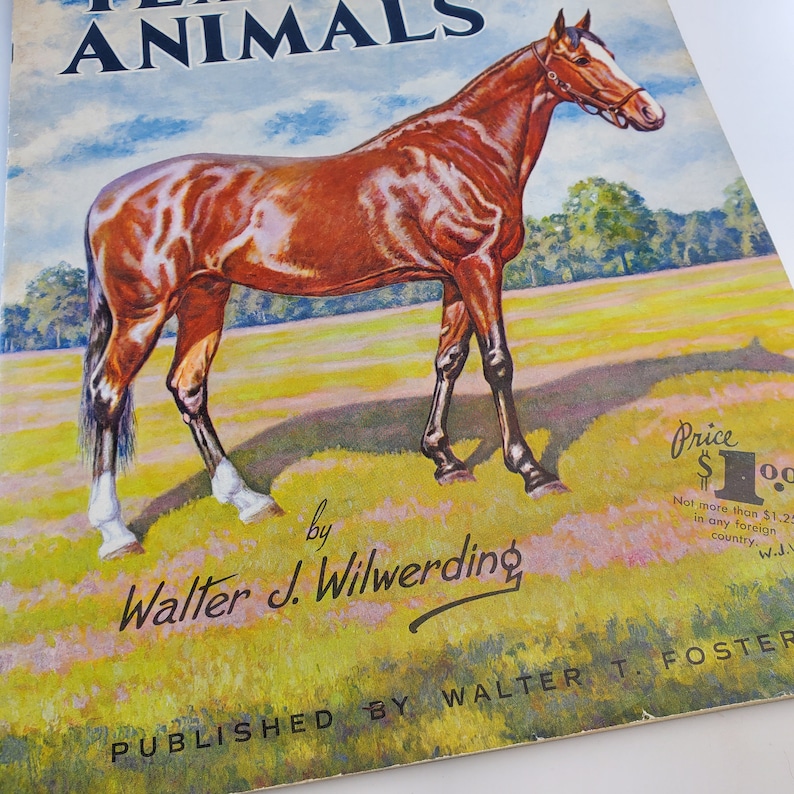 1960's Foster's How to Draw & Paint Textures of Animals. - Etsy