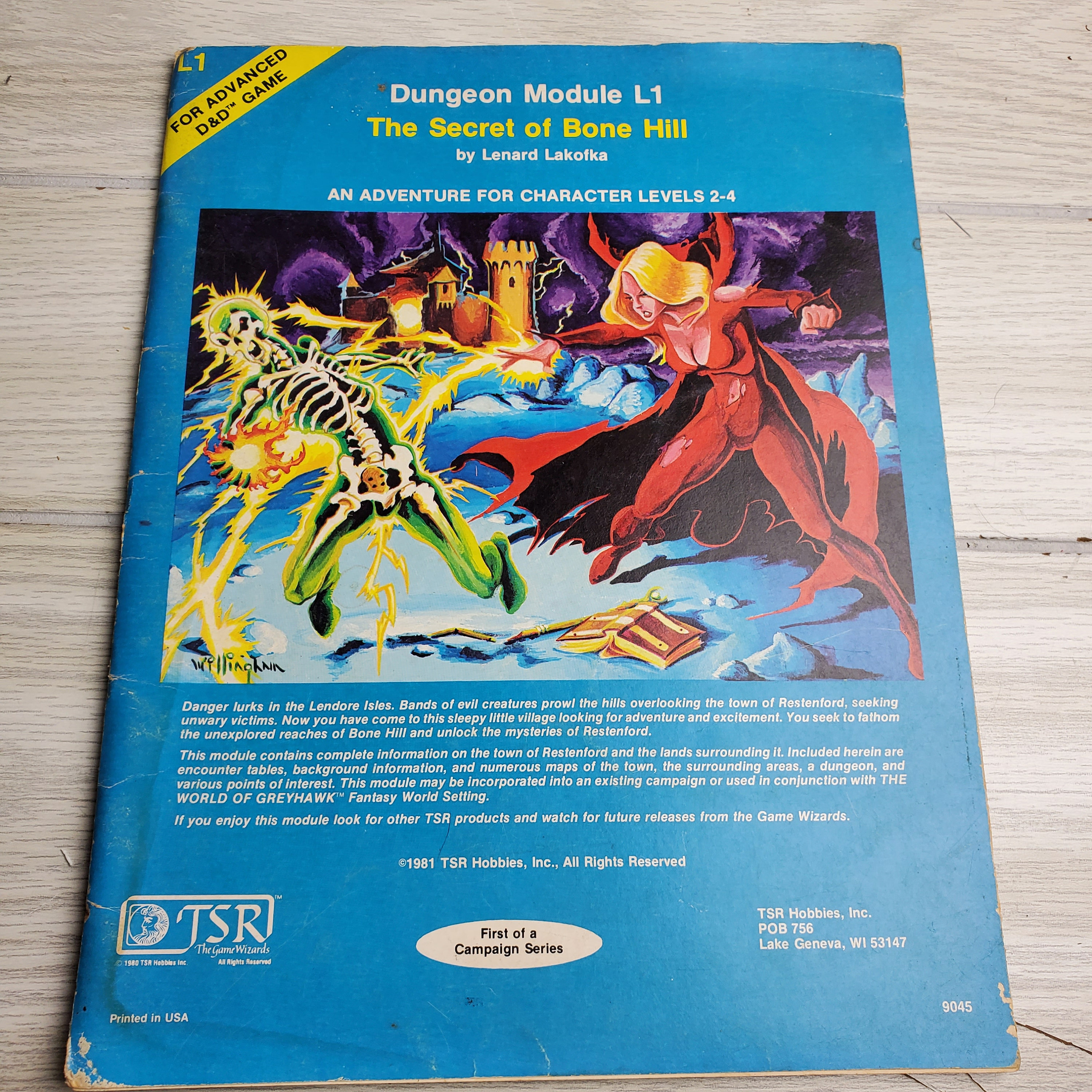 Read Description Vintage TSR Game Wizards Dungeon Module L1 the Secret ...