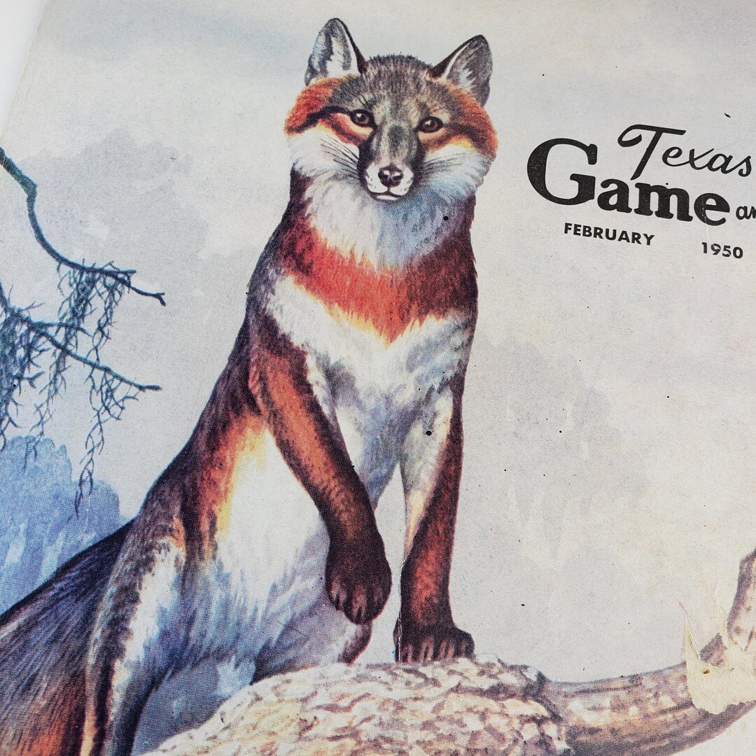 Vintage 1950's Cover Art From Texas Game & Fish Magazine. Rattlesnake ...