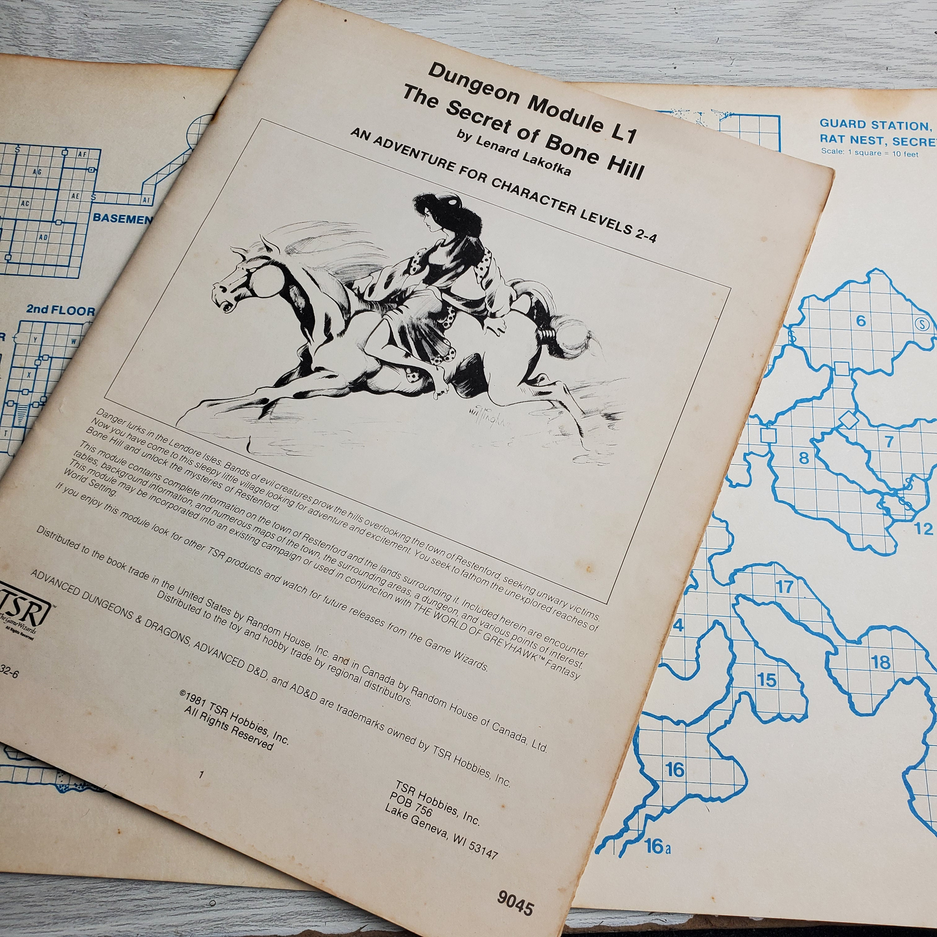 Read Description Vintage TSR Game Wizards Dungeon Module L1 the Secret ...