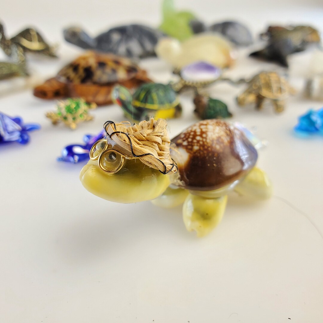 Read Desc. for Turtle Lovers. Odd Collection of Random Turtles for ...
