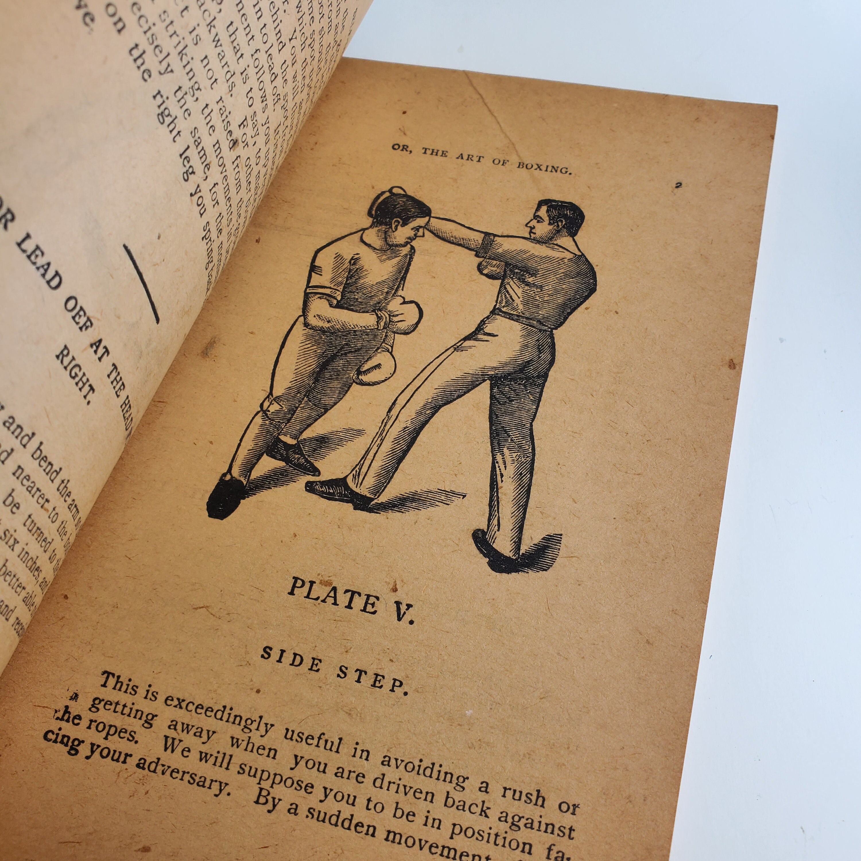 Rare 1895 Wehman Brothers How to Box and Gymnastics Without a Teacher ...