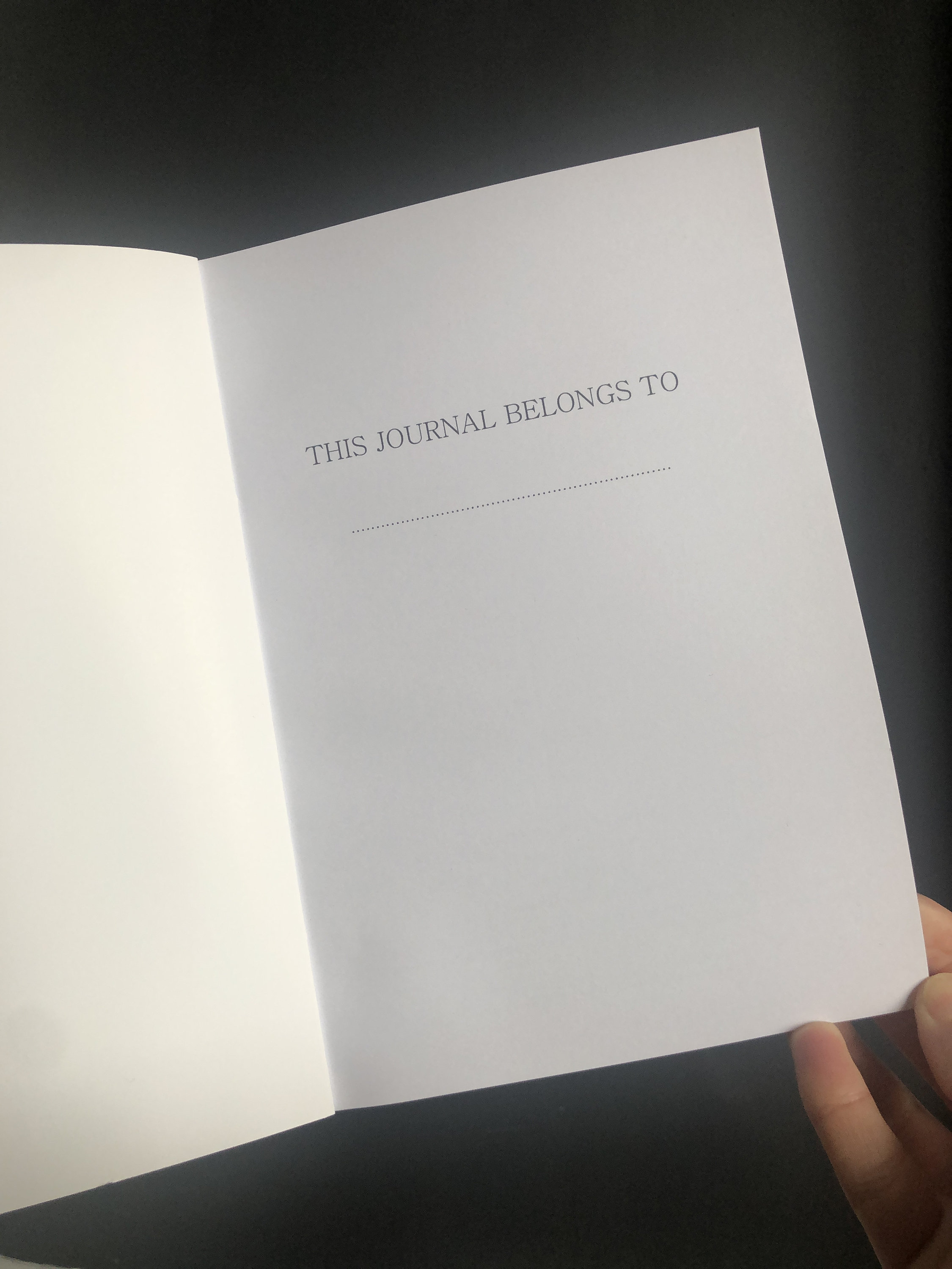 Golf Journal Golf Logbook, Golf Scorecard, Golf Gift, Golf Present ...