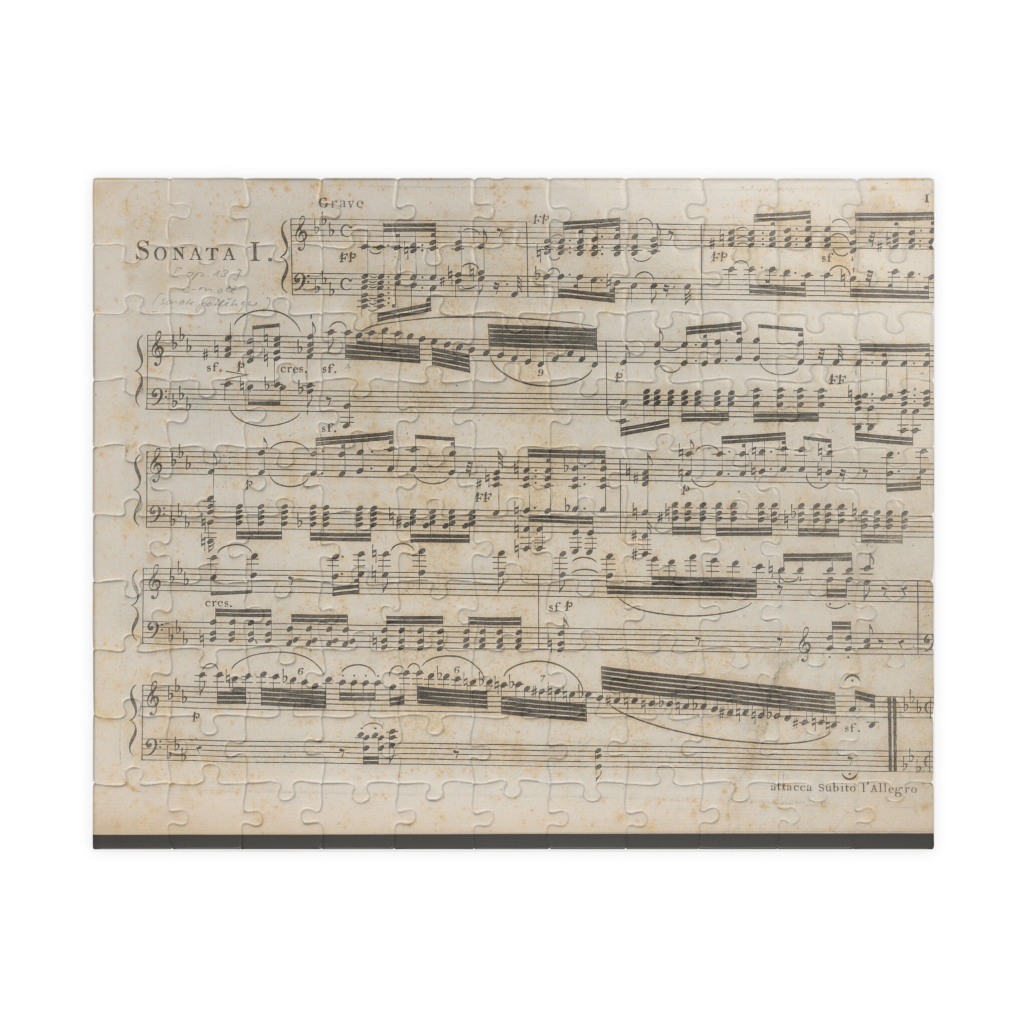 Beethoven Music Puzzle Gift 110, 252, 500, 1014-piece Music Teacher ...