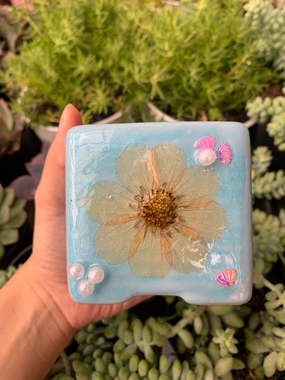 Cosmos Dried Flower Resin Planter Pot for Succulent and Cactus Pottery ...