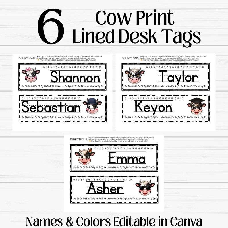Cow Print Name Tags for Student Desks, Editable Desk Plate Styles ...