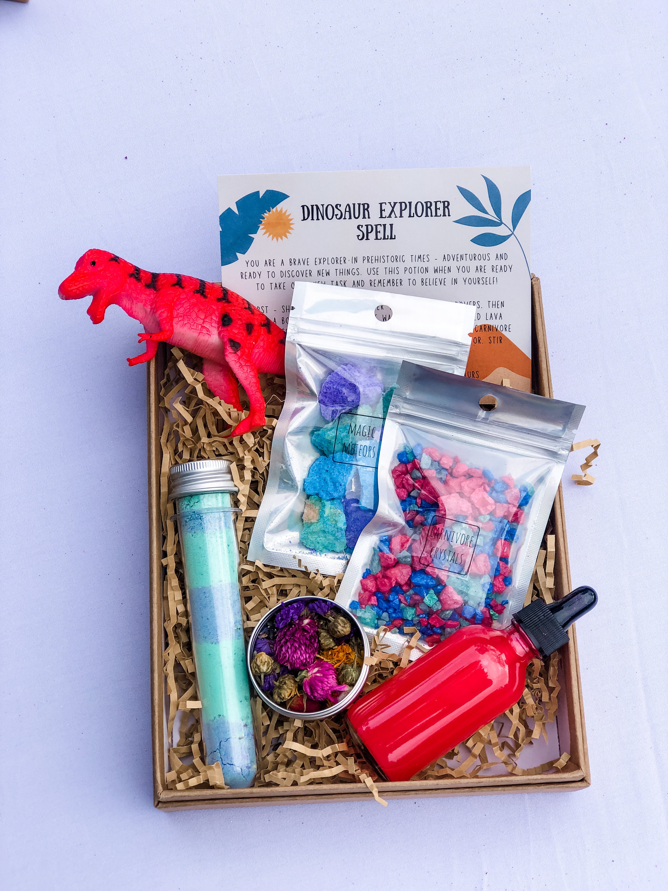 Dinosaur Explorer Potion Kit - Etsy