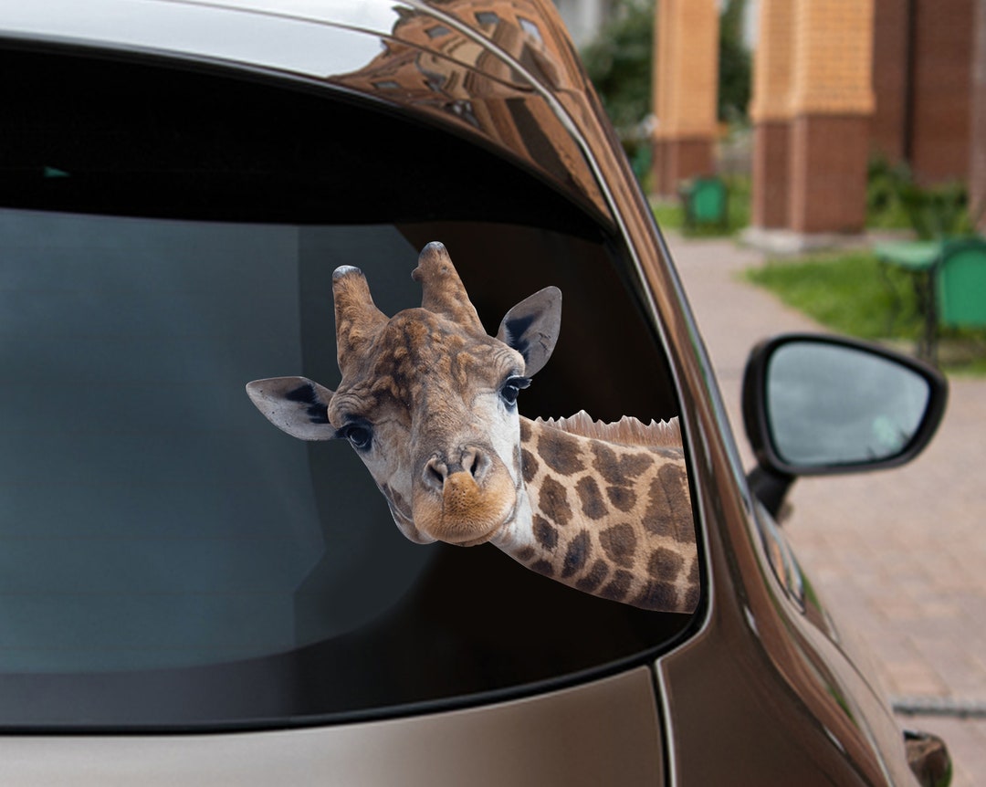 Funny Giraffe Car Decal / Sticker / Camper Sticker / Van Exterior Decal ...