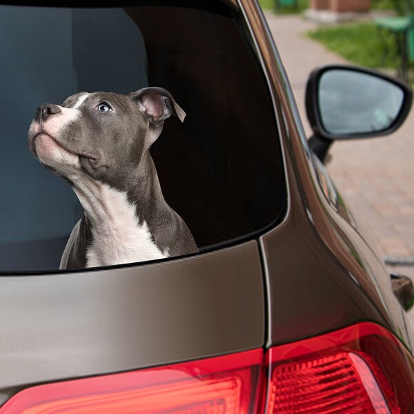 Exterior Camper Decal - Etsy