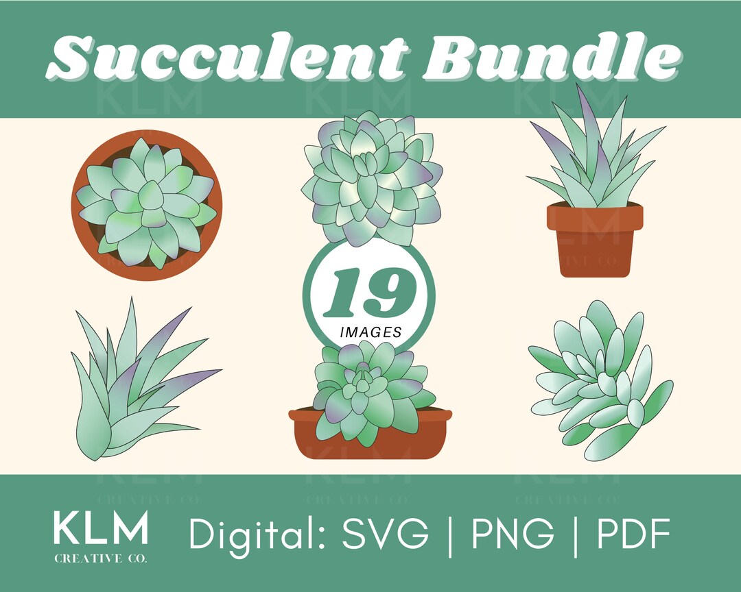 Succulent SVG | Plant SVG Bundle | Plant SVG | Crazy Plant Lady Svg ...
