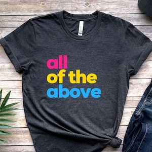Pansexual T-shirt, Subtle Pan Gift, All of the Above, Pride Month ...