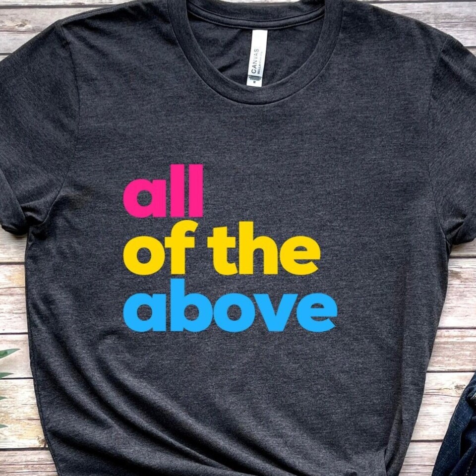 Pansexual T Shirt, Subtle Pan Gift, All Of The Above, Pride Month ...