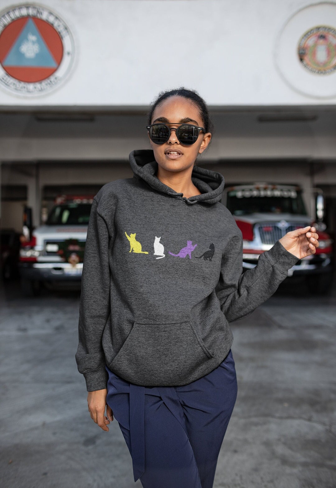 Non Binary Cats Hoodie, Cute Nonbinary Flag Gift, LGBTQ Kitten, Hooded ...