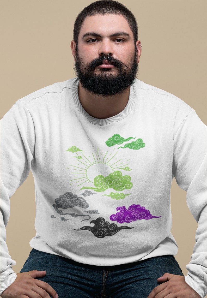 Aroace Sweatshirt Gift, Aro Ace Sun Clouds, Aromantic Asexual, Sweater ...
