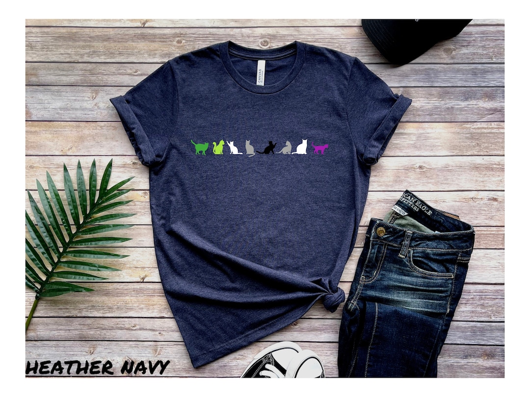 Aroace Cats T Shirt, Aro Ace Flag Gift, Cute Aromantic Asexual Tshirt ...