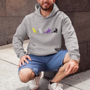 Non Binary Cats Hoodie, Cute Nonbinary Flag Gift, LGBTQ Kitten, Hooded ...