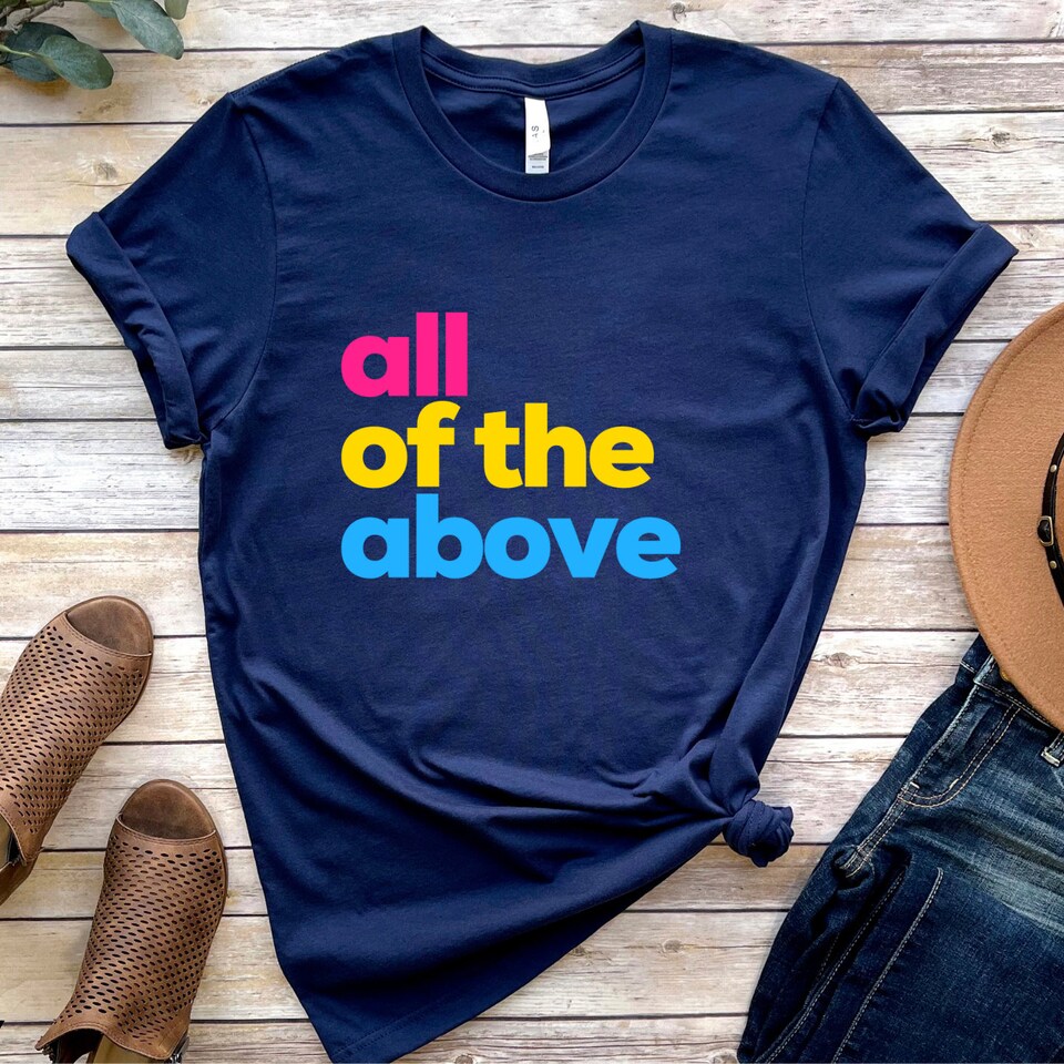 Pansexual T Shirt, Subtle Pan Gift, All Of The Above, Pride Month ...