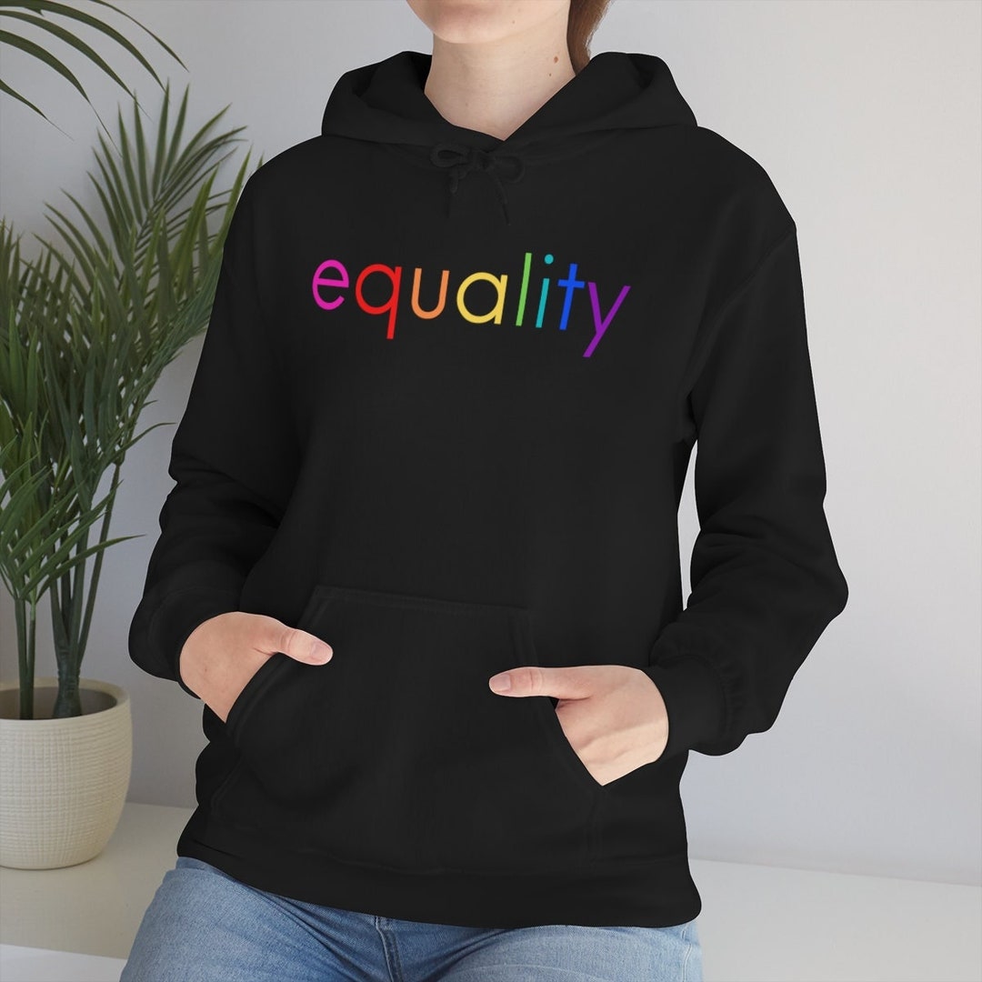 Equality LGBTQIA Hoodie, Rainbow Flag Gift, Cute LGBT Sweatshirt ...