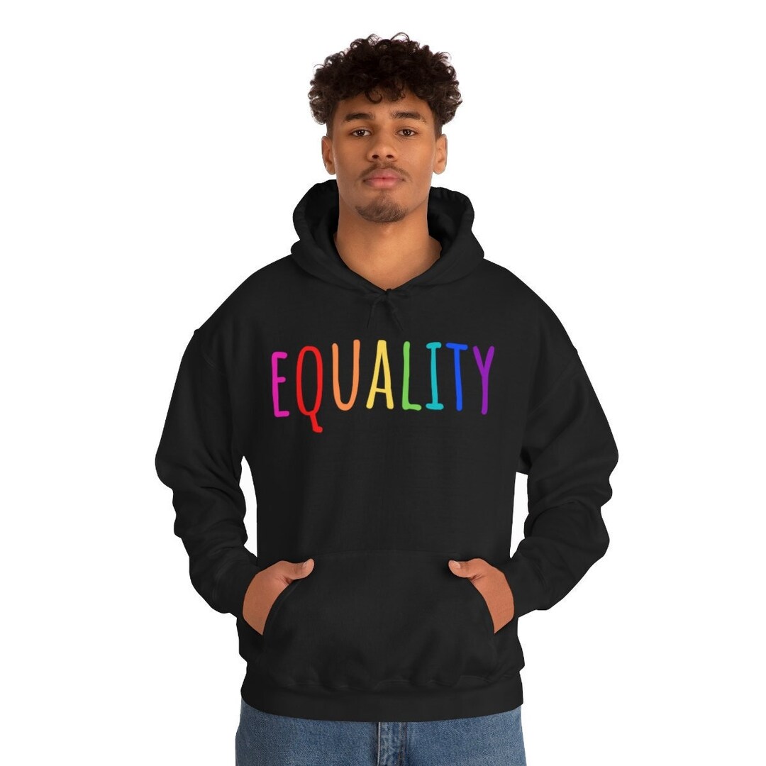 Equality LGBTQIA Hoodie, Rainbow Flag Gift, Cute LGBT Sweatshirt ...