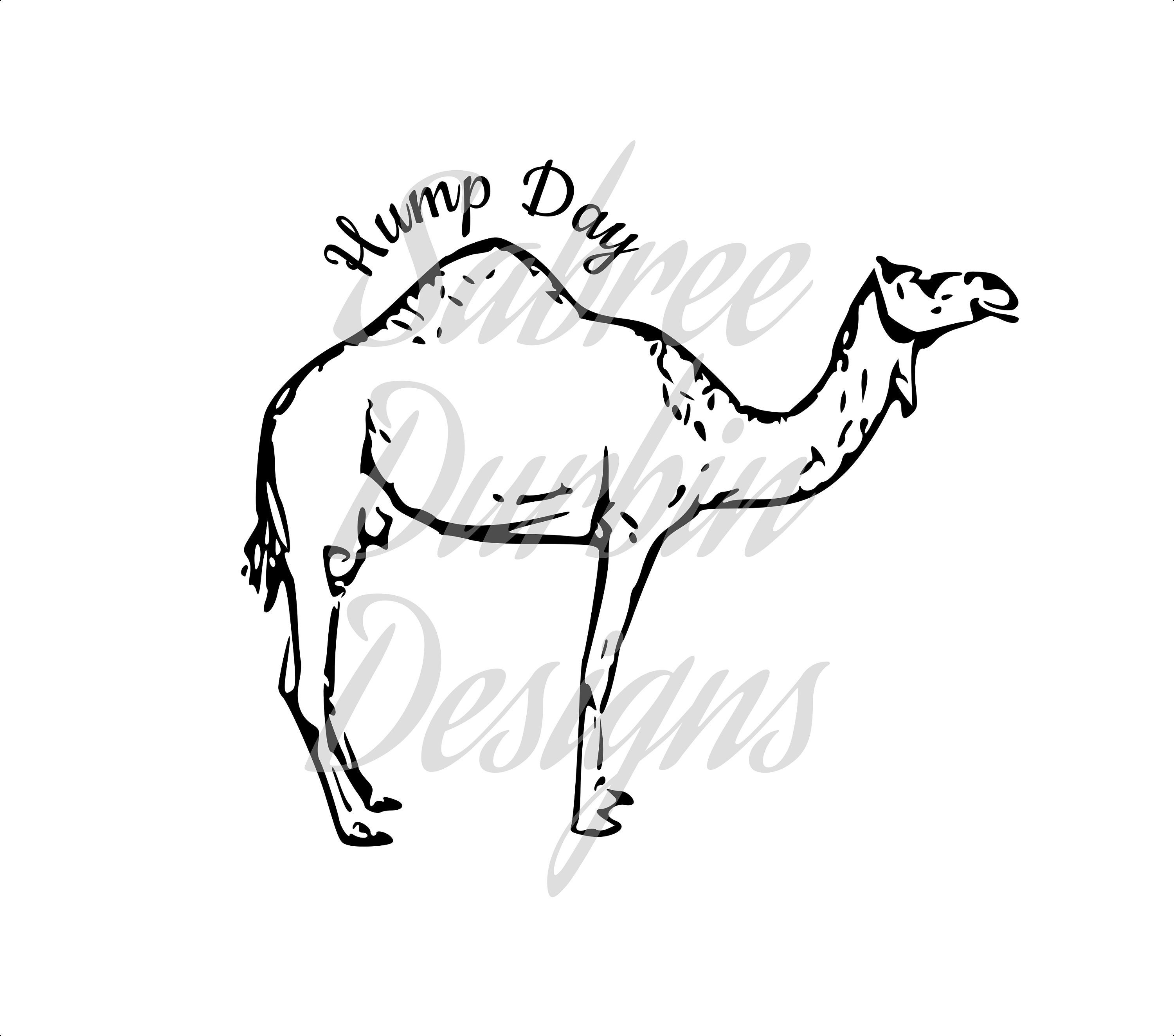 Hump Day Camel Drawing
