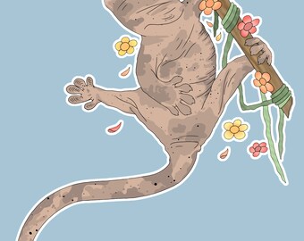 Crested Gecko Sticker - Etsy