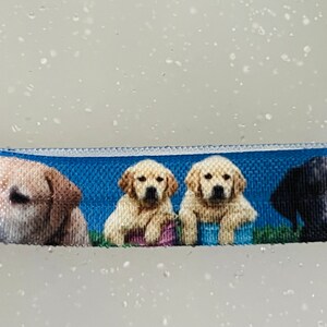 Labrador | Ribbon Hair Ties | Labrador Hair Ties | Yellow Lab | Black ...